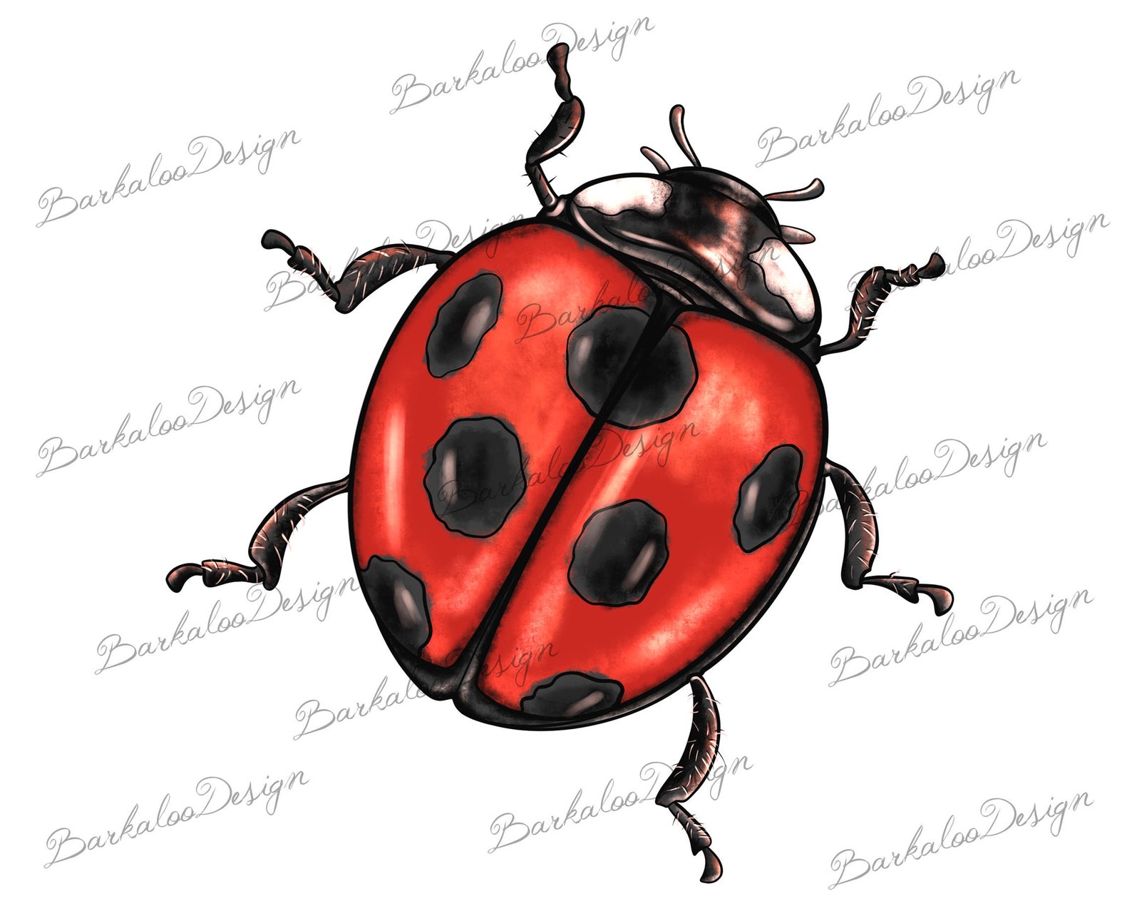 Ladybug Png Sublimation Design, Ladybird Png, Watercolor Ladybug Png ...