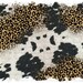Cowhide Leopard Background PNG Sublimation Design, Western Background ...