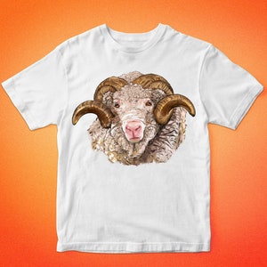Merino Wool Ram Png Sublimation Design, Merino Png, Western Ram Png ...