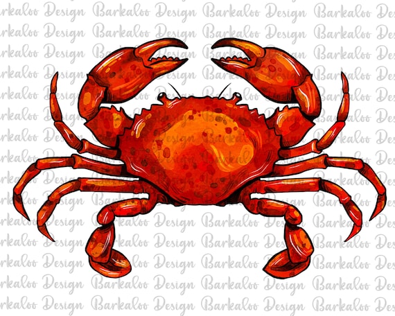 Red Crab Drawing