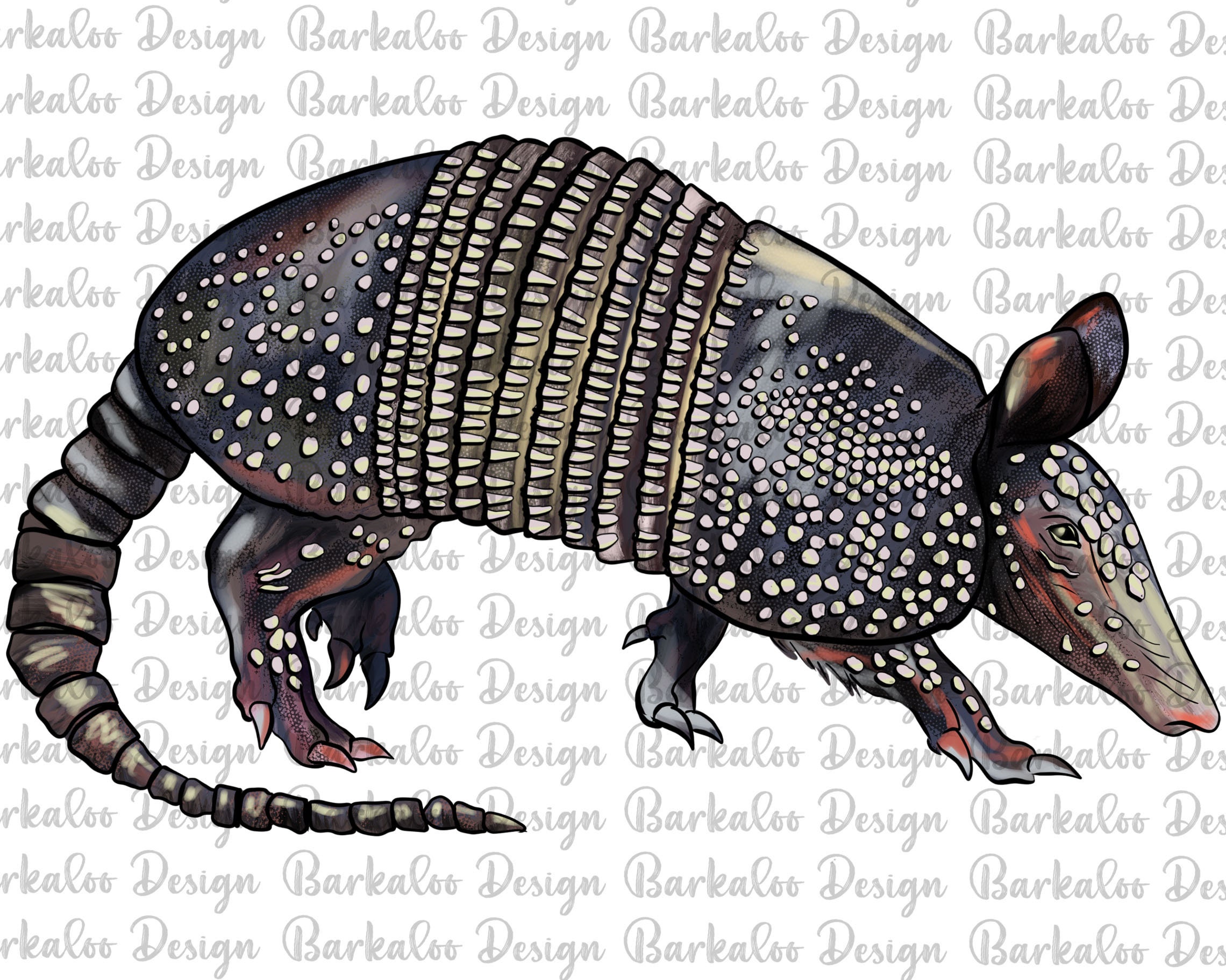 Rolled Up Armadillo Clipart