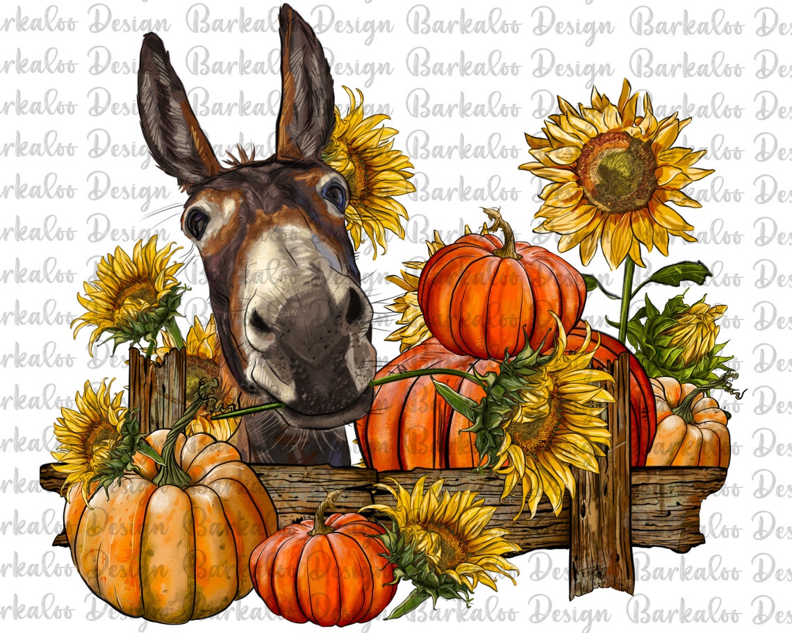 Donkey With Sunflowers and Pumpkin Png Sublimation Design - Etsy