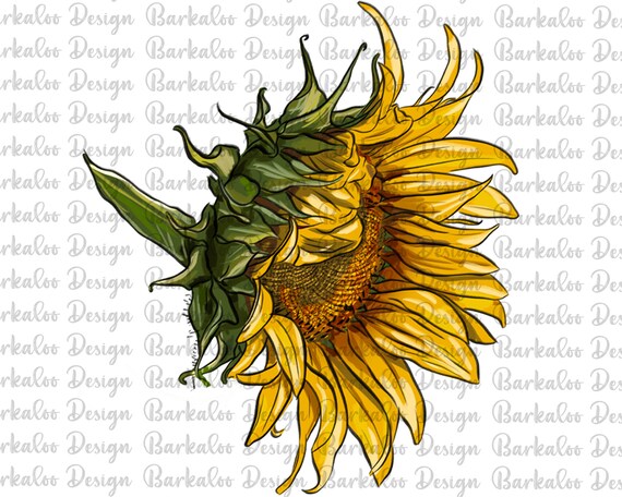 Side Sunflower Png Sublimation Design Sunflower Png Side | Etsy