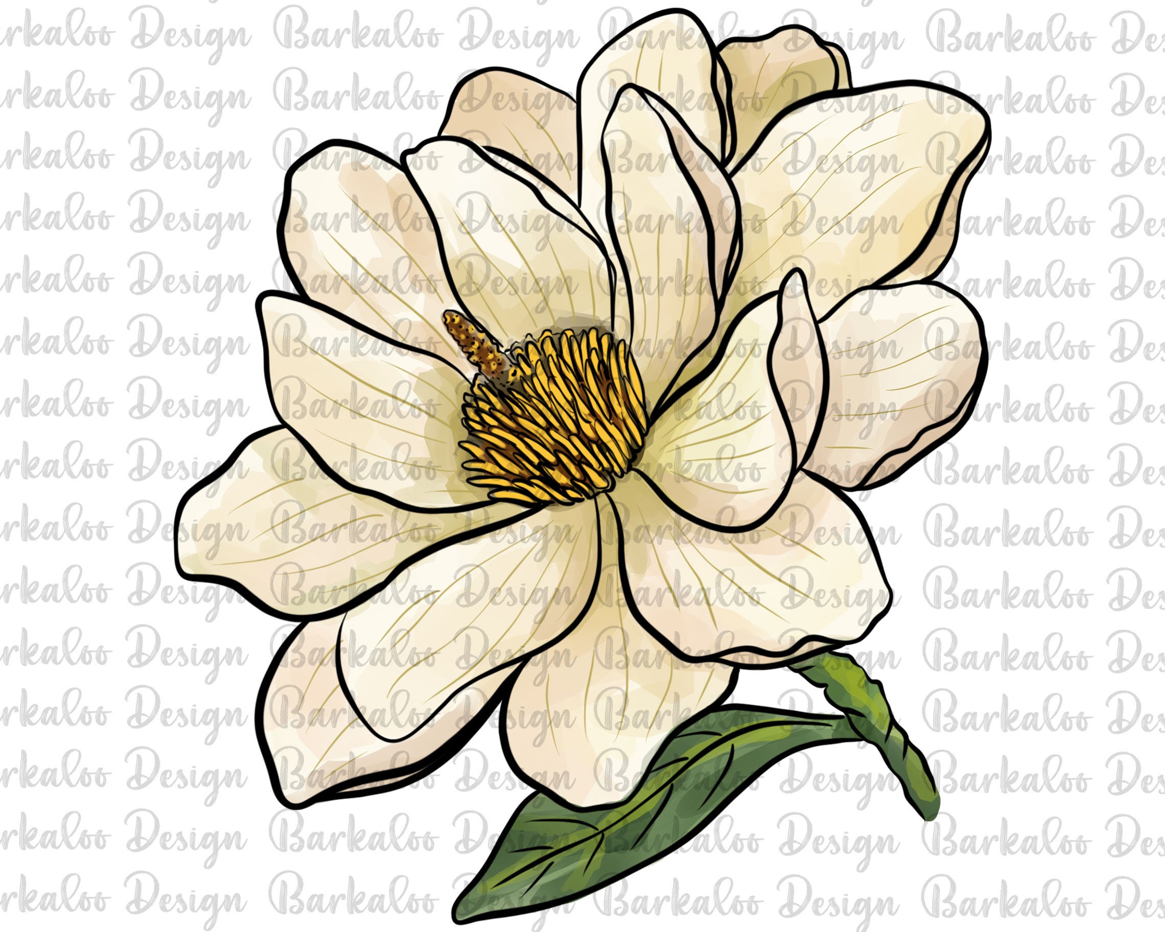 Magnolia Design Png Hand Drawn Magnolia Png Magnolia Clipart - Etsy