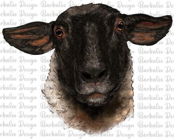 Suffolk Ewe Head Png Sublimation Designsuffolk Pngwestern | Etsy