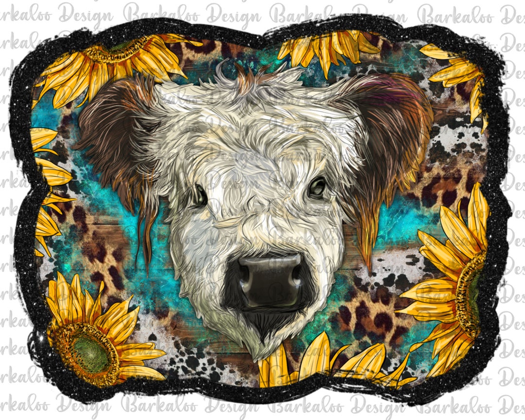 White Scottish Calf Background Png Sublimation Design,calf Png, Western ...
