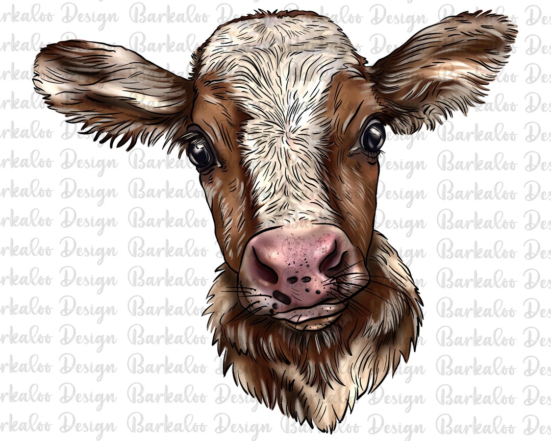 Hand Drawing Heifer Calf PNG Sublimation Design, Calf Png, Baby Cow Png ...