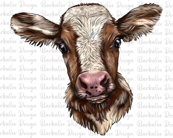 Hand tekening vaars kalf PNG sublimatie ontwerp kalf png - Etsy Nederland
