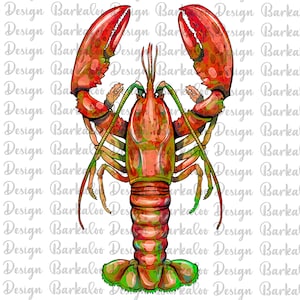 Lobster Design Png Sublimation Design, Hand Drawn Lobster Png, Lobster ...