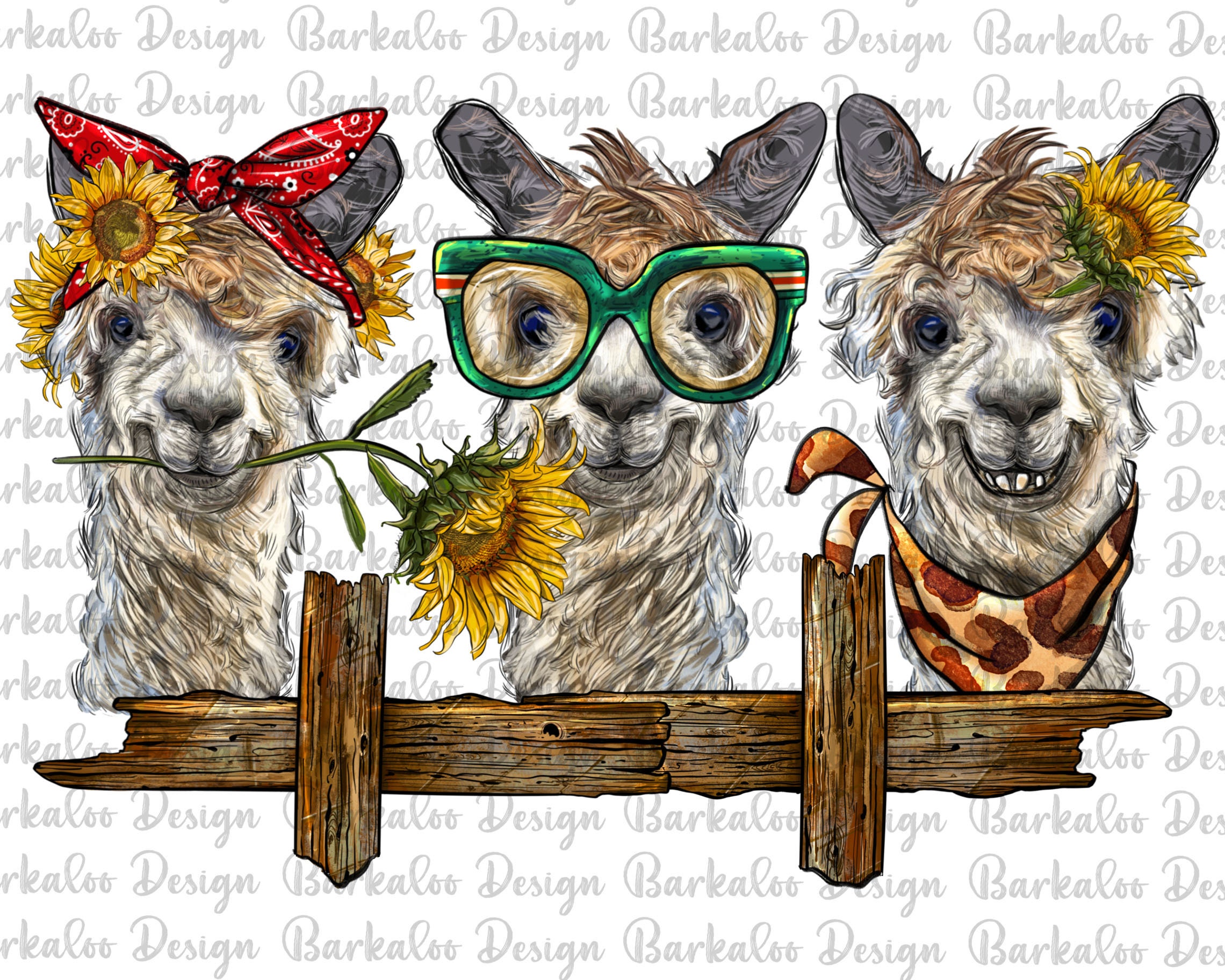 3 Alpacas With Wooden Bench Png Sublimation Design Alpacas - Etsy Canada