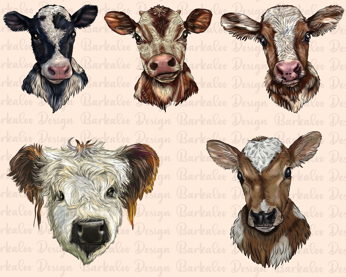 Western Calf Design Bundle 23 PNG Files Background Bundle - Etsy