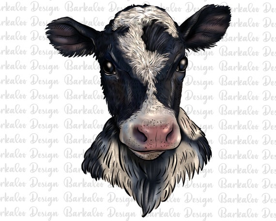 Hand Drawing Holstein Heifer Calf PNG Sublimation Design Calf - Etsy
