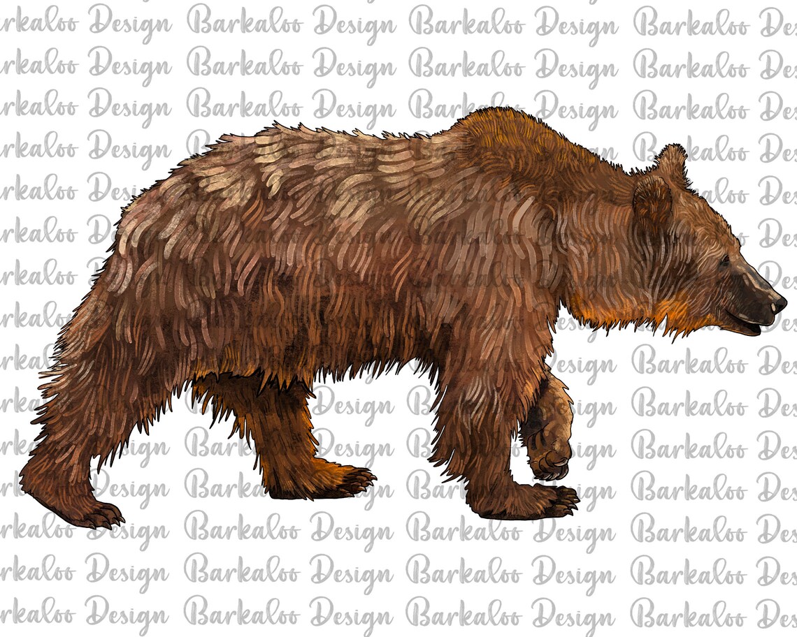 Bear Png Sublimation Design Bear Portrait Png Hand Drawn - Etsy
