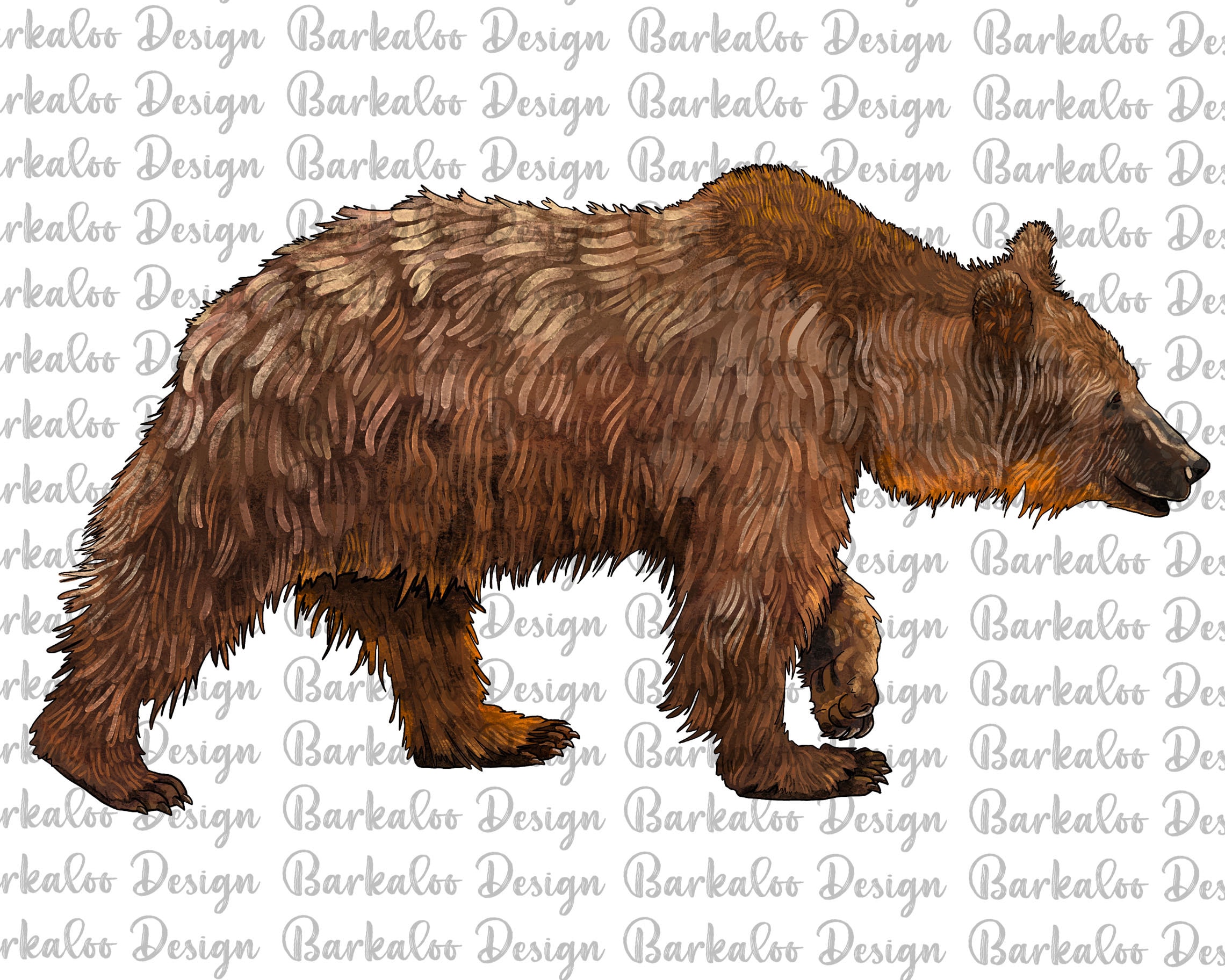 Bear Png Sublimation Design Bear Portrait Png Hand Drawn - Etsy