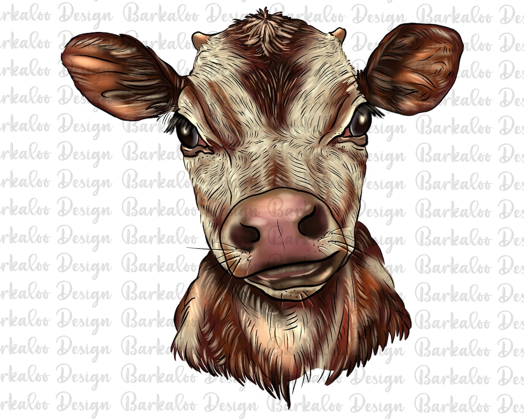 Hand Drawing Brown Heifer Calf PNG Sublimation Design, Calf Png, Heifer ...