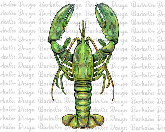 Green Lobster Png Sublimation Design Hand Drawn Lobster Png - Etsy