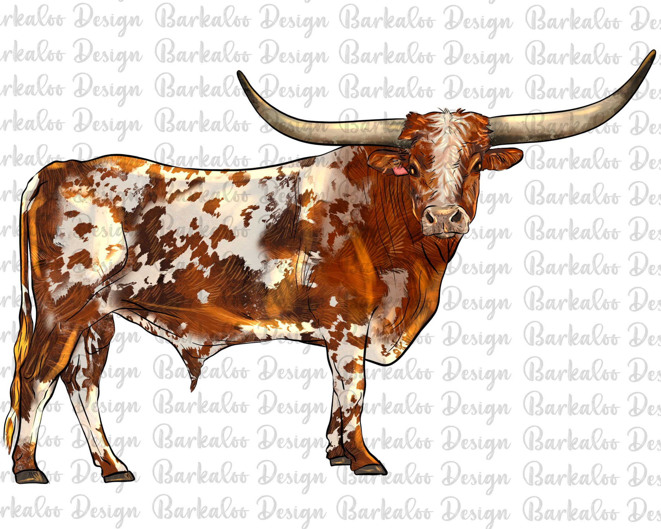Texas Longhorn Cattle Clipart
