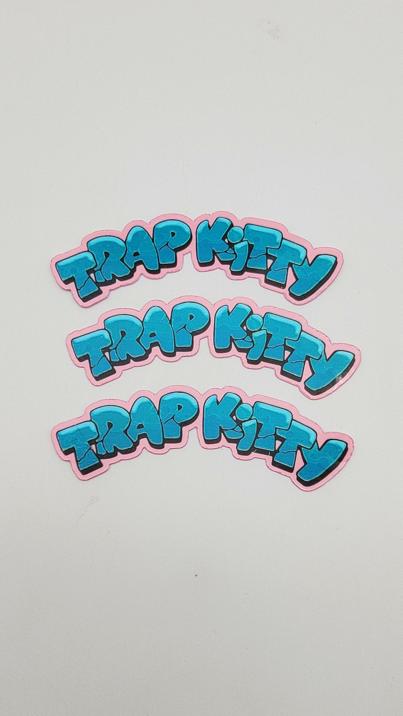 Trap Kitty Young Miko Inspires Sticker Trap Kitty Tour - Etsy