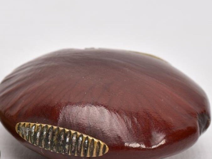 Rare Burra Nut Vesta Case — Epilogue I Antiques