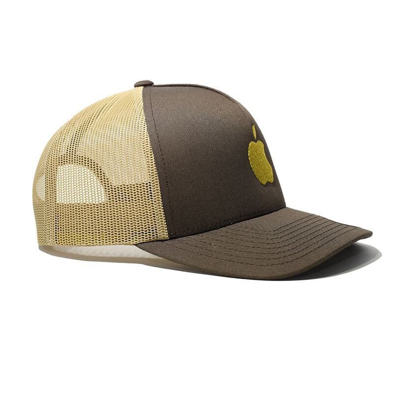 Embroidered Apple Logo Hat - Etsy