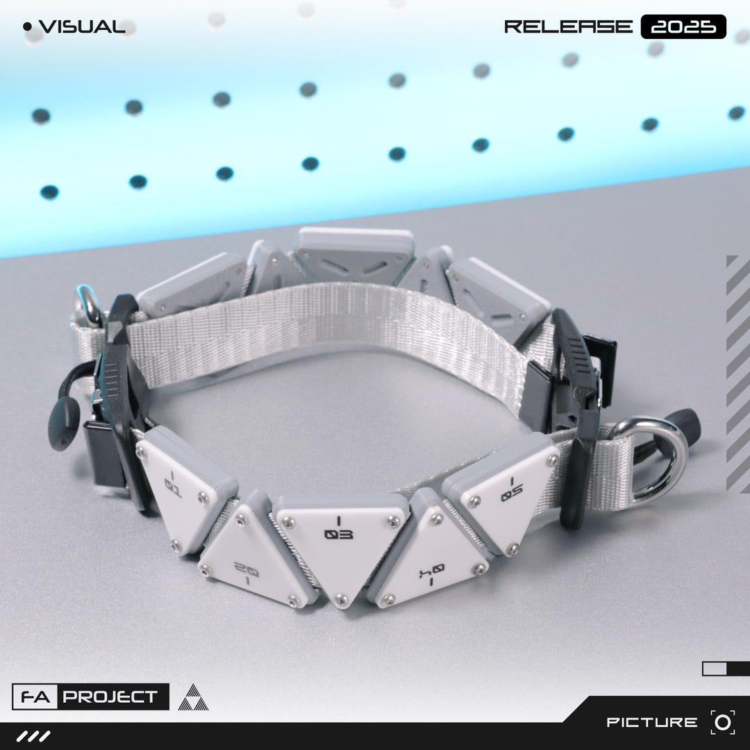 Modular Adjustable Triangle Panel Wristband Bracelet Choker Legband ...