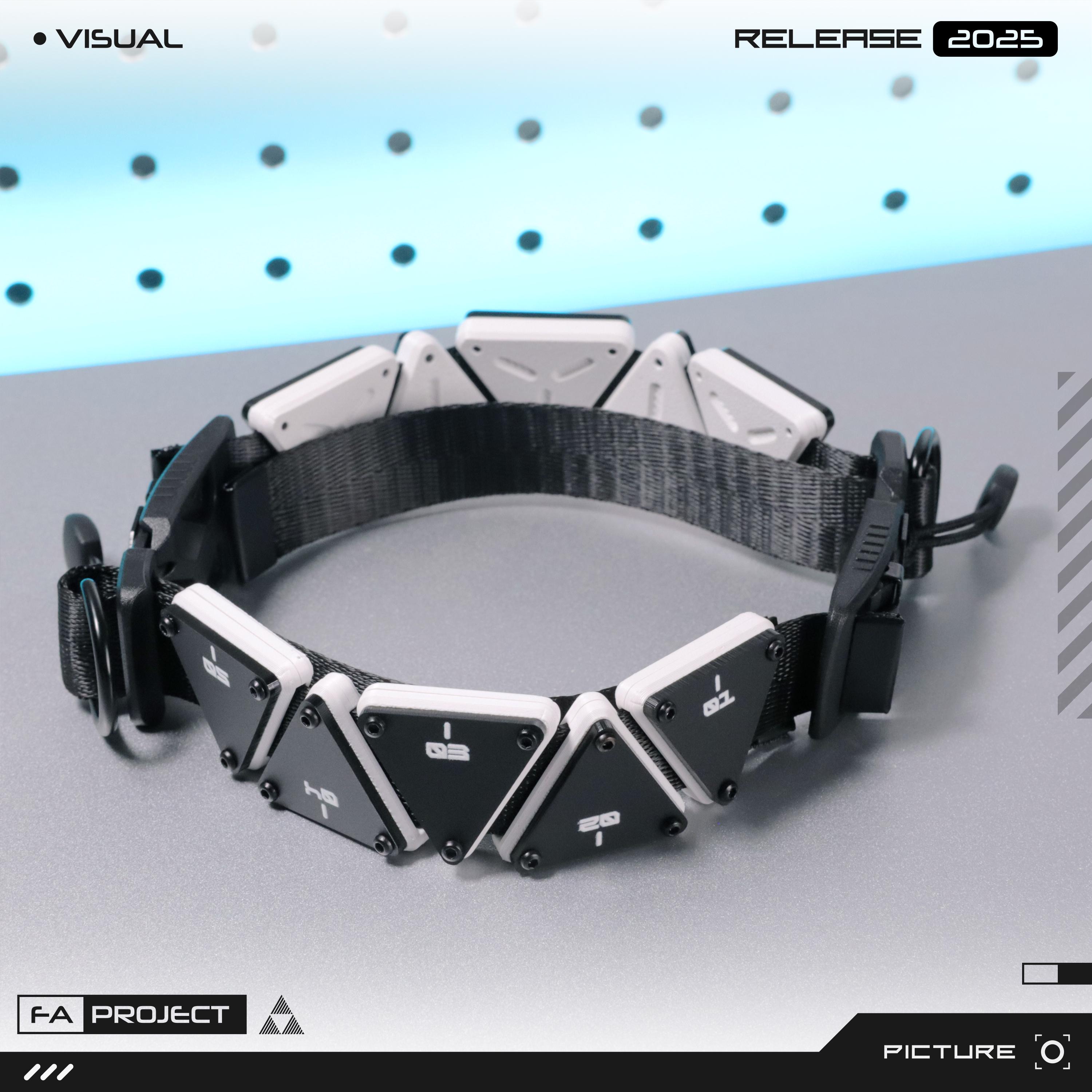 Modular Adjustable Triangle Panel Wristband Bracelet Choker Legband ...