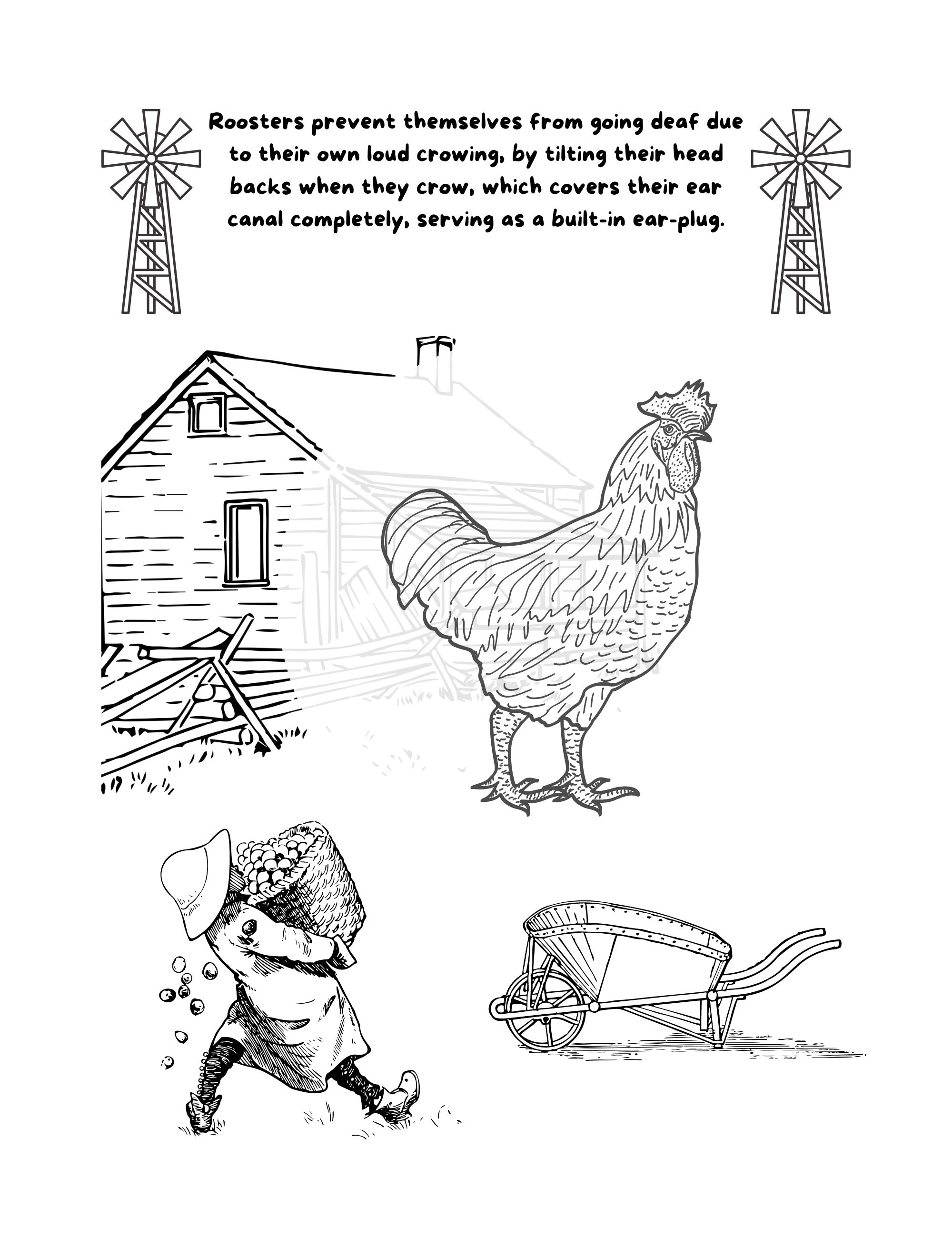 Amazing Animal Facts Coloring Book - Etsy