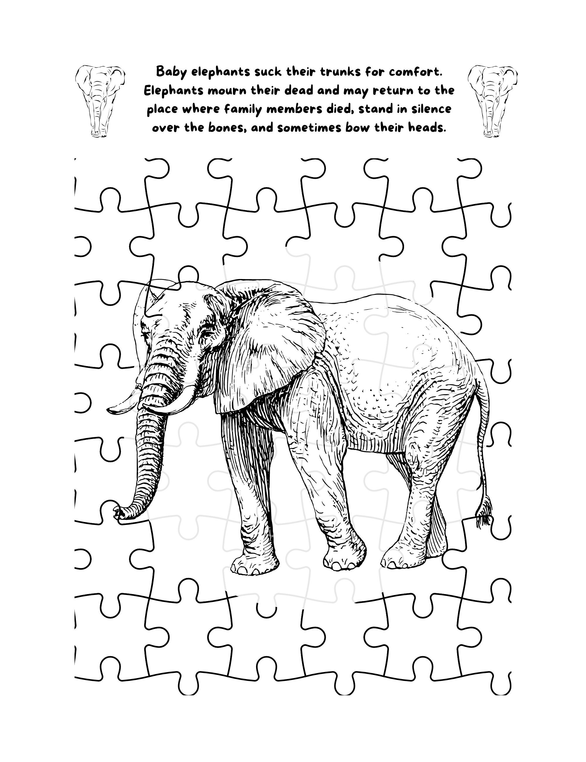 Amazing Animal Facts Coloring Book - Etsy