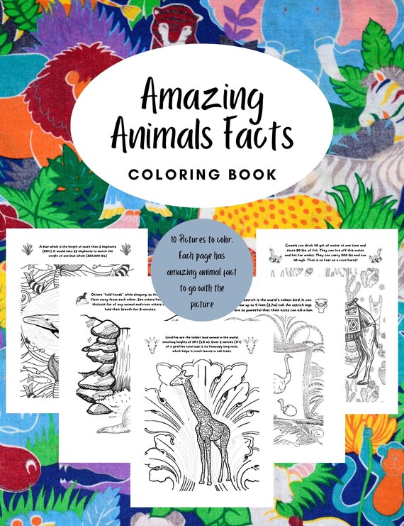 Amazing Animal Facts Coloring Book | Etsy