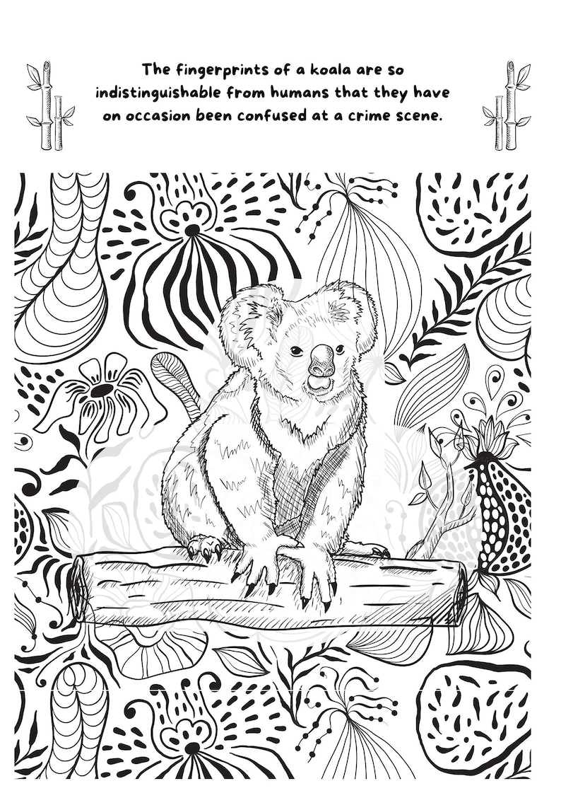 Amazing Animal Facts Coloring Book - Etsy