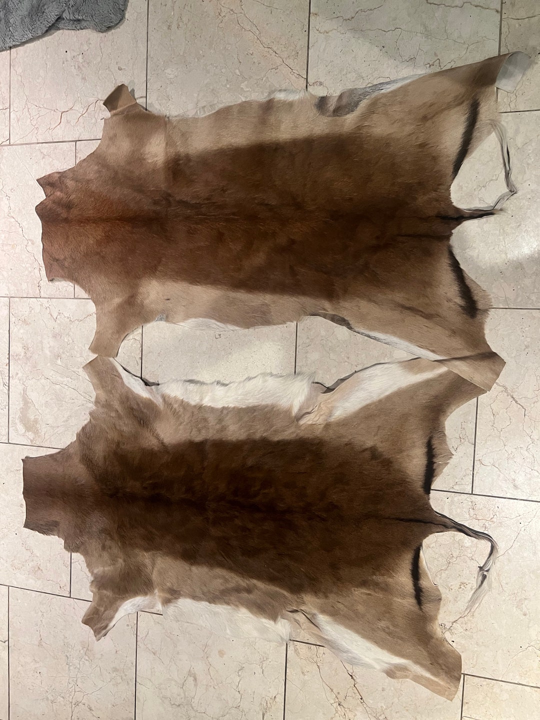 Impala Skin Rugs - Etsy