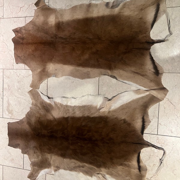 African Animal Skin Rugs - Etsy