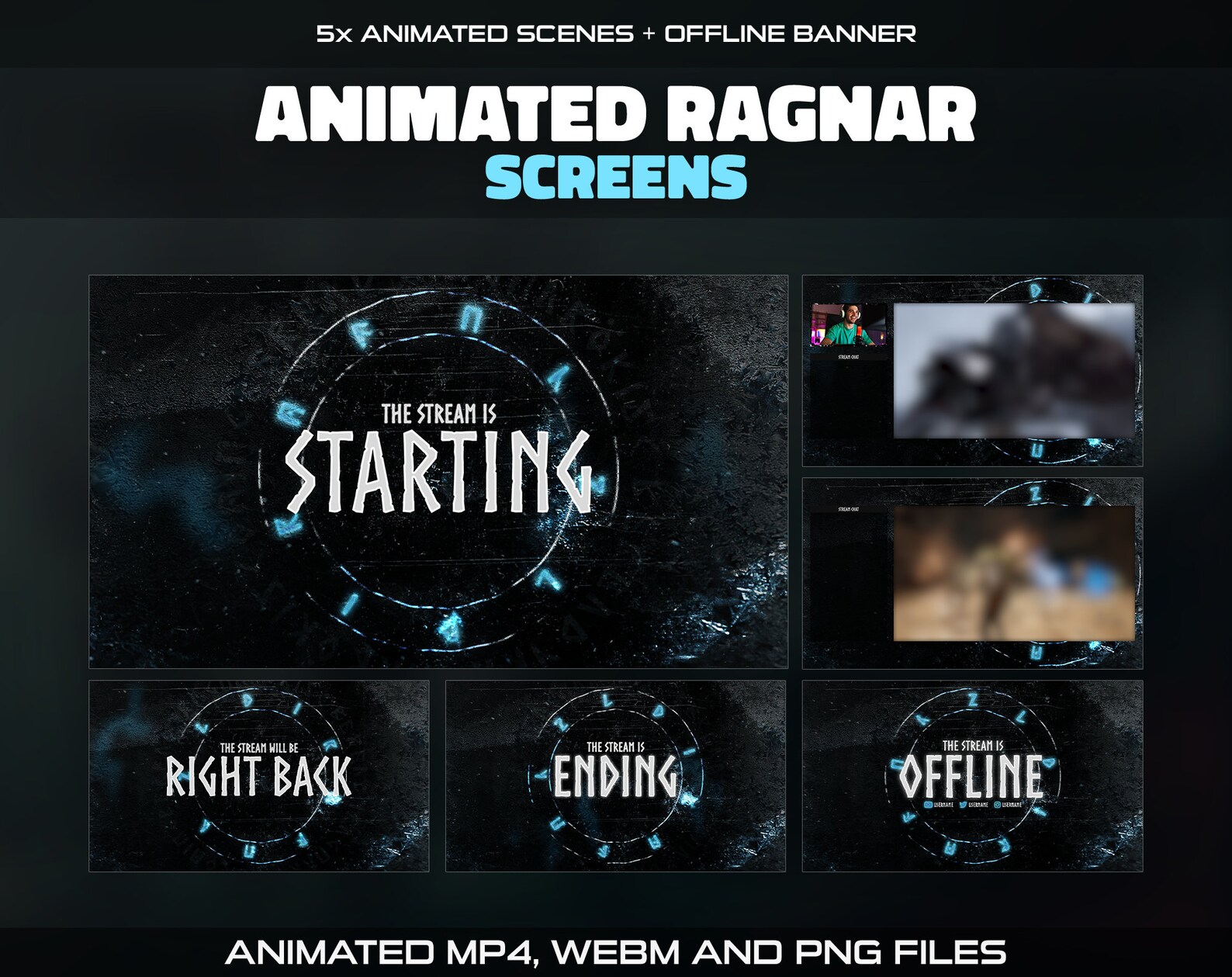 Animated Ragnar Twitch Overlay Package for Streamers | Dark Norse ...