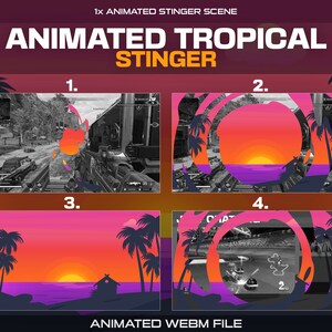 Tropical Sunset Twitch Stinger Transition Orange Animated Summer Stream ...