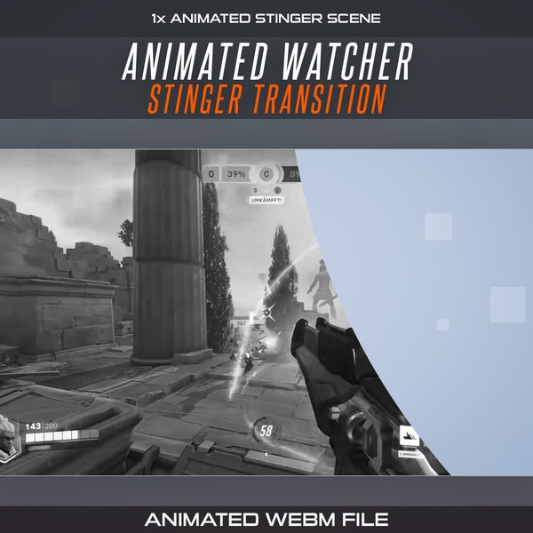 Overwatch 2 Stream Overlay - Etsy