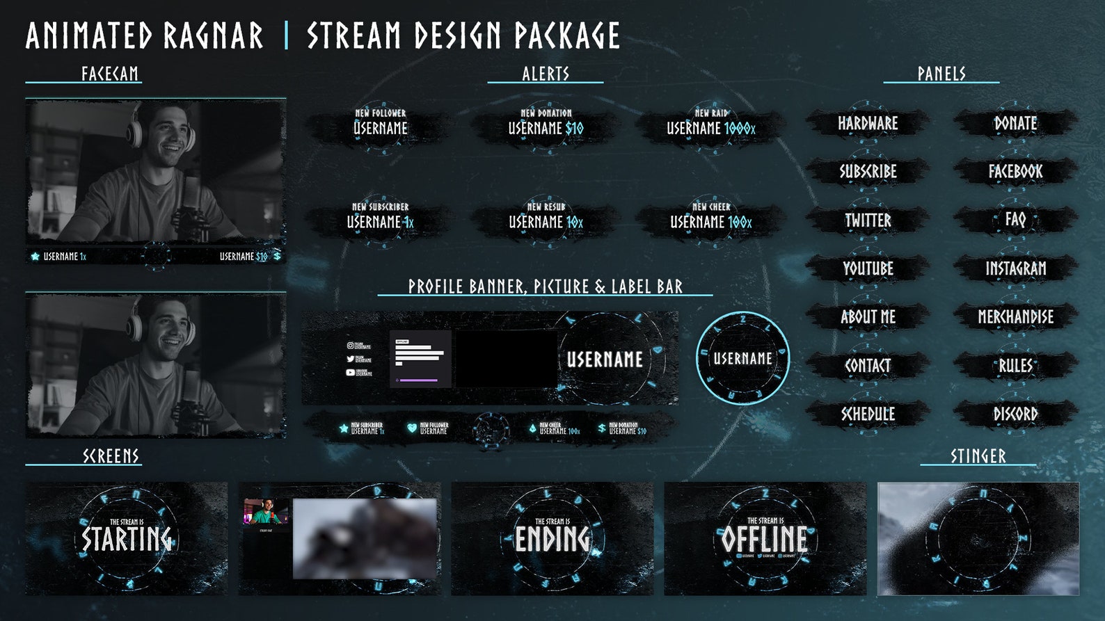 Animated Ragnar Twitch Overlay Package for Streamers | Dark Norse ...