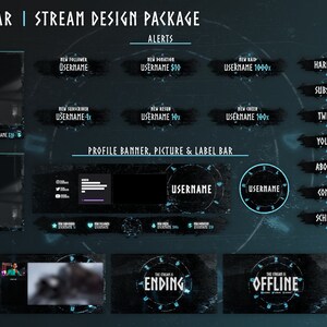 Animated Ragnar Twitch Overlay Package for Streamers | Dark Norse ...