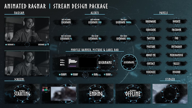 Animated Ragnar Twitch Overlay Package for Streamers | Dark Norse ...