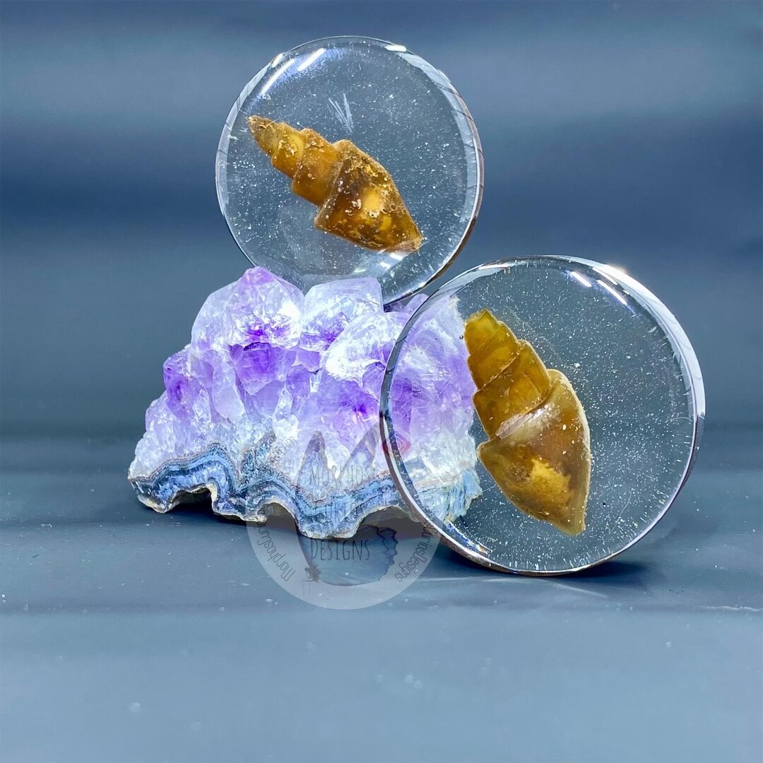 Calcite Shell * Gauges * Tunnels * Plugs - Etsy