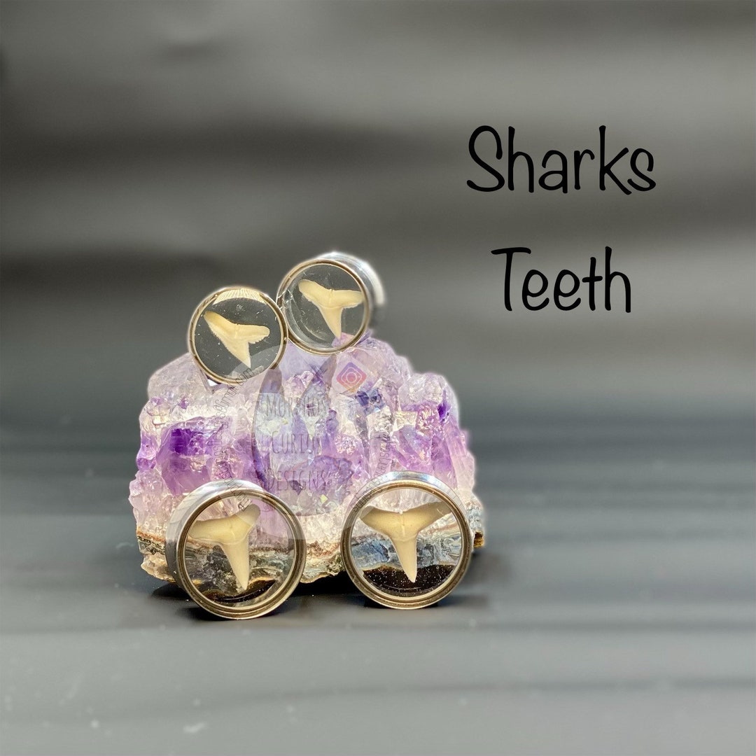 REAL Sharks Teeth * Tunnels * Plugs * Gauges - Etsy