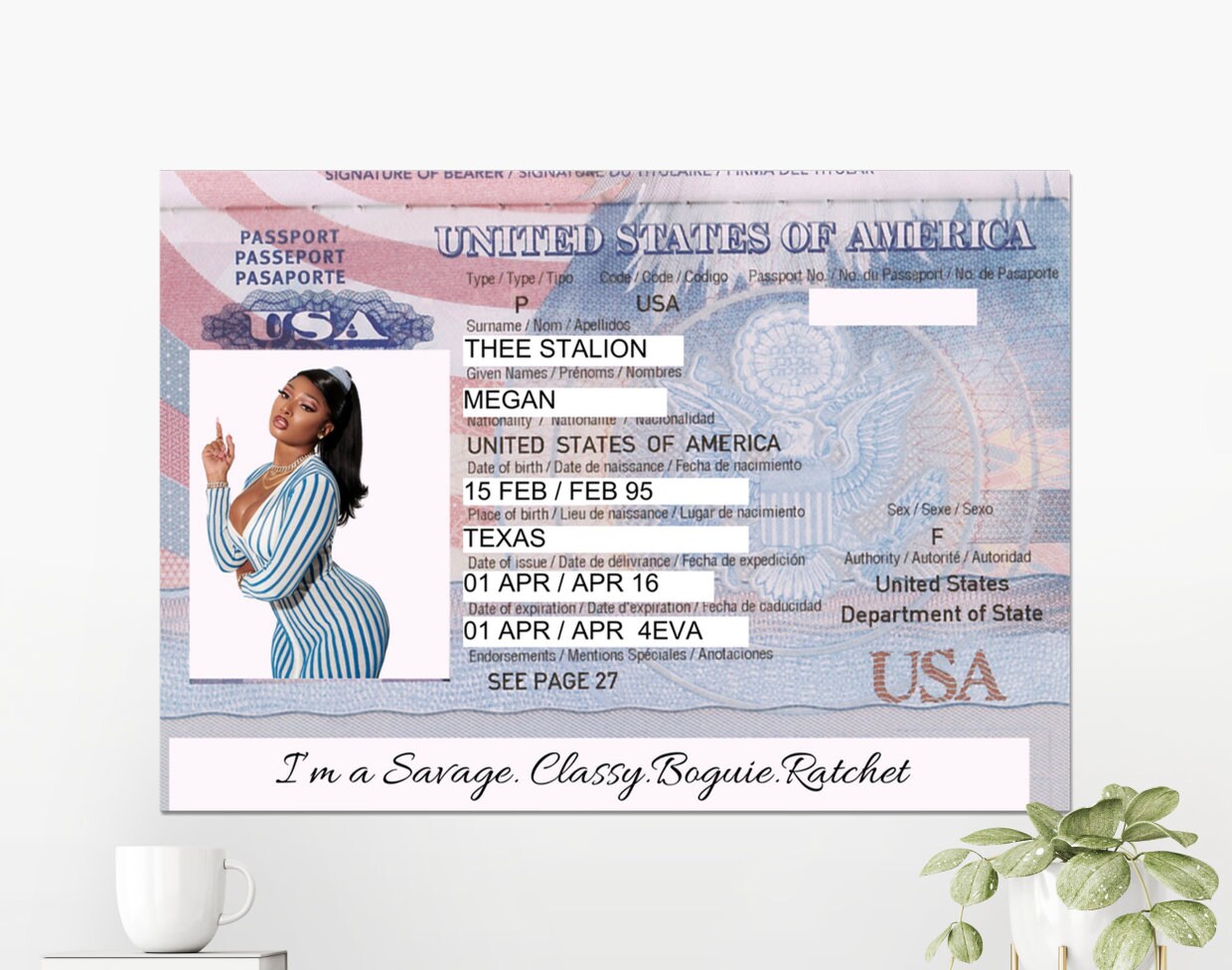 Passport Style Hot Girl Megan Thee Stallion Poster | Bold & Beautiful ...