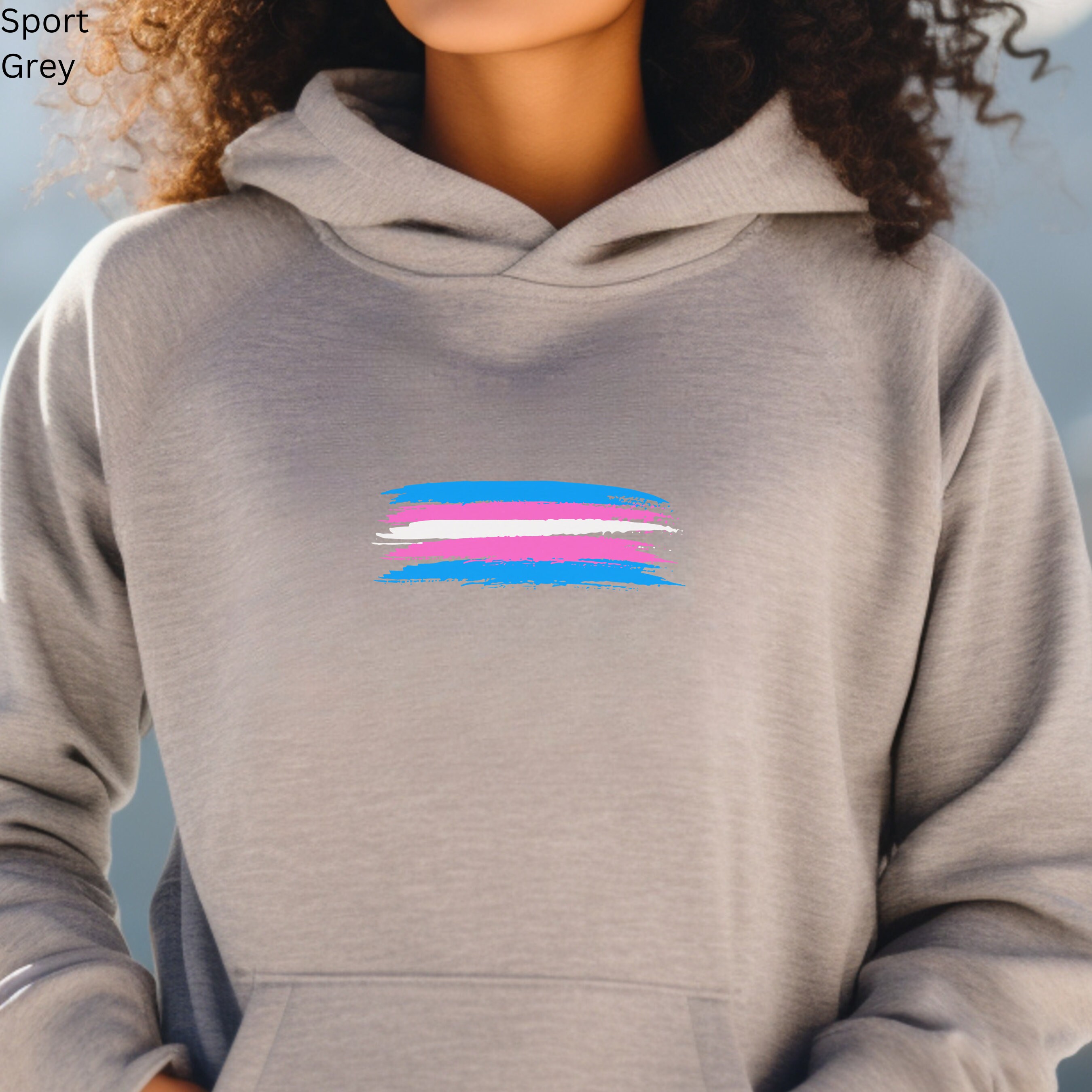 Subtle Trans Pride Hoodie Transgender Flag Sweatshirt That is Popular ...
