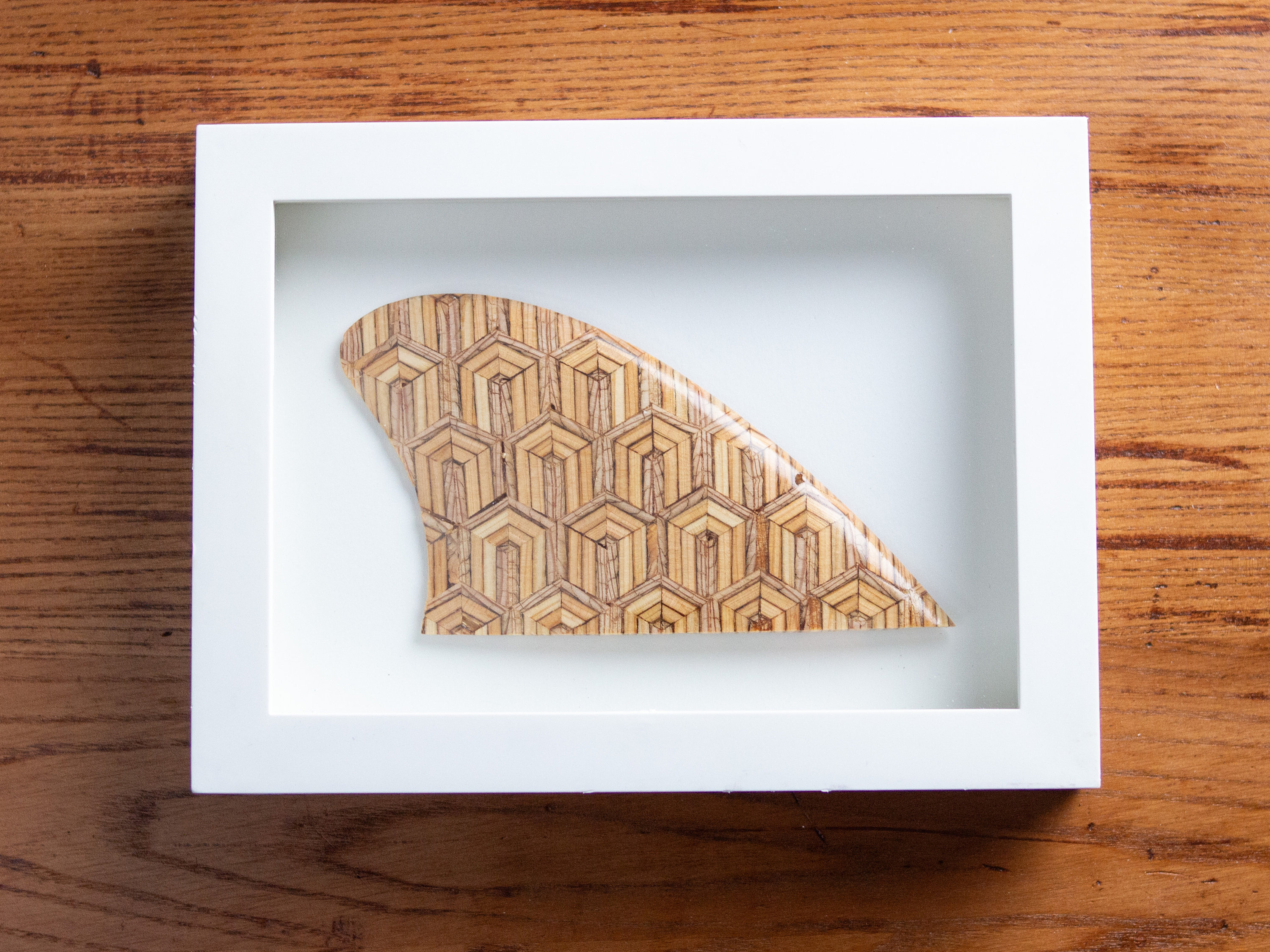 Shadow Box Surfboard Keel Fin - Wall Art for Surfers, Gift for Ocean ...