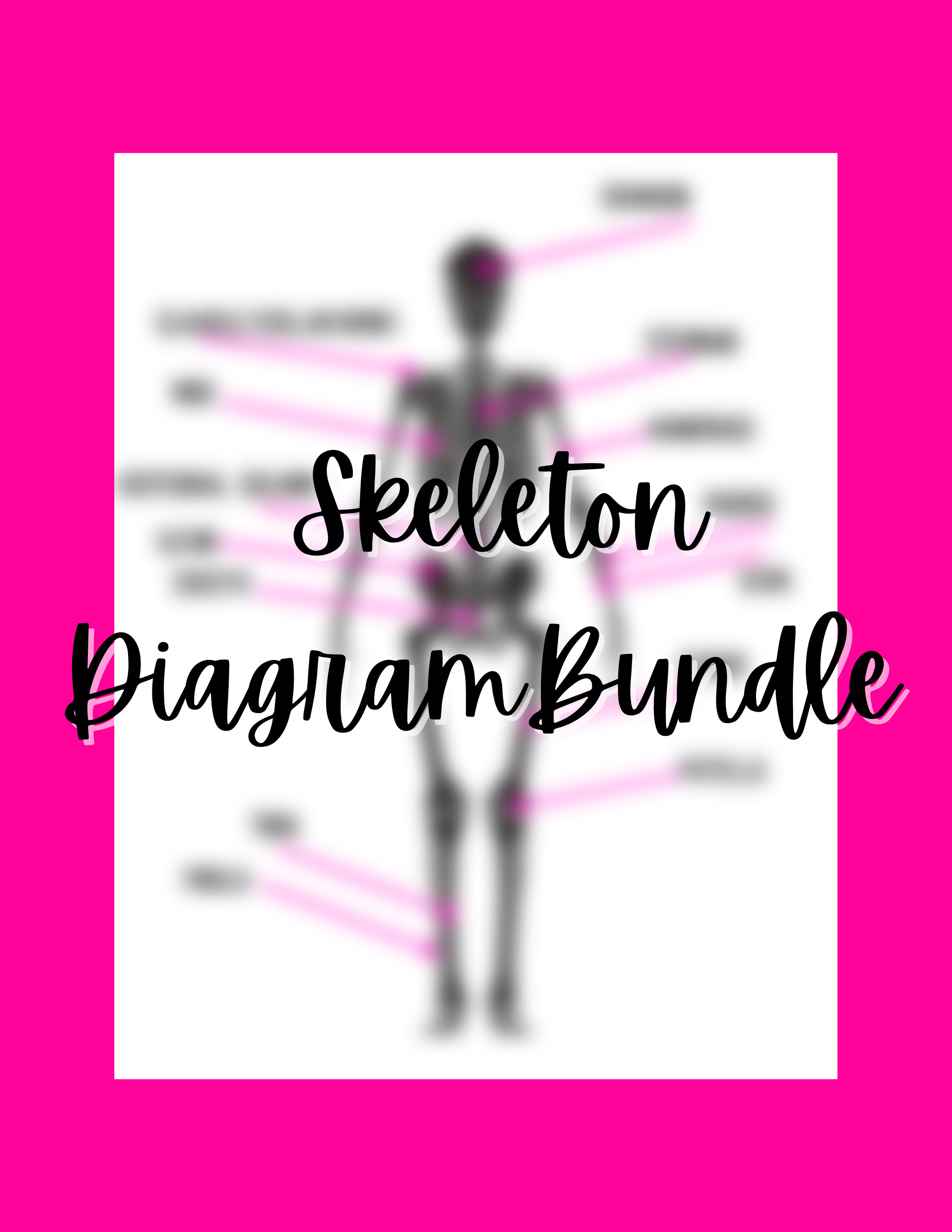 Labeled Skeleton Diagram Bundle - Downloadable PDF - Etsy