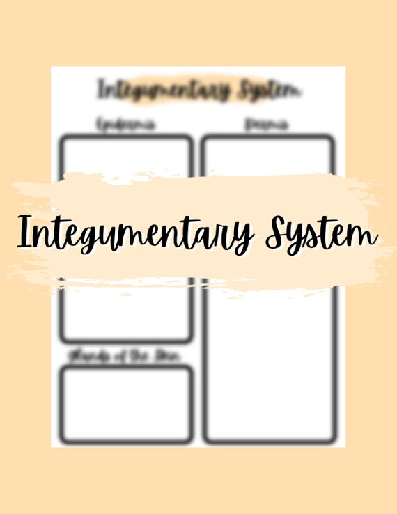 Integumentary System Notes Outline Downloadable PDF - Etsy