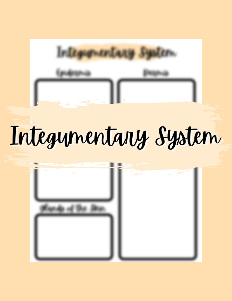 Integumentary System Notes Outline Downloadable PDF - Etsy