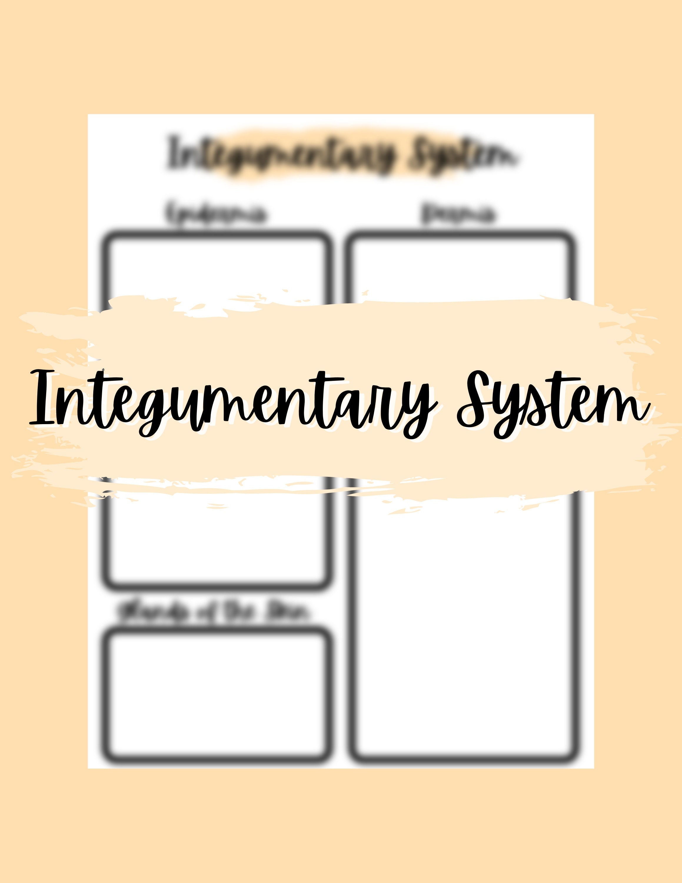 Integumentary System Notes Outline - Downloadable PDF - Etsy