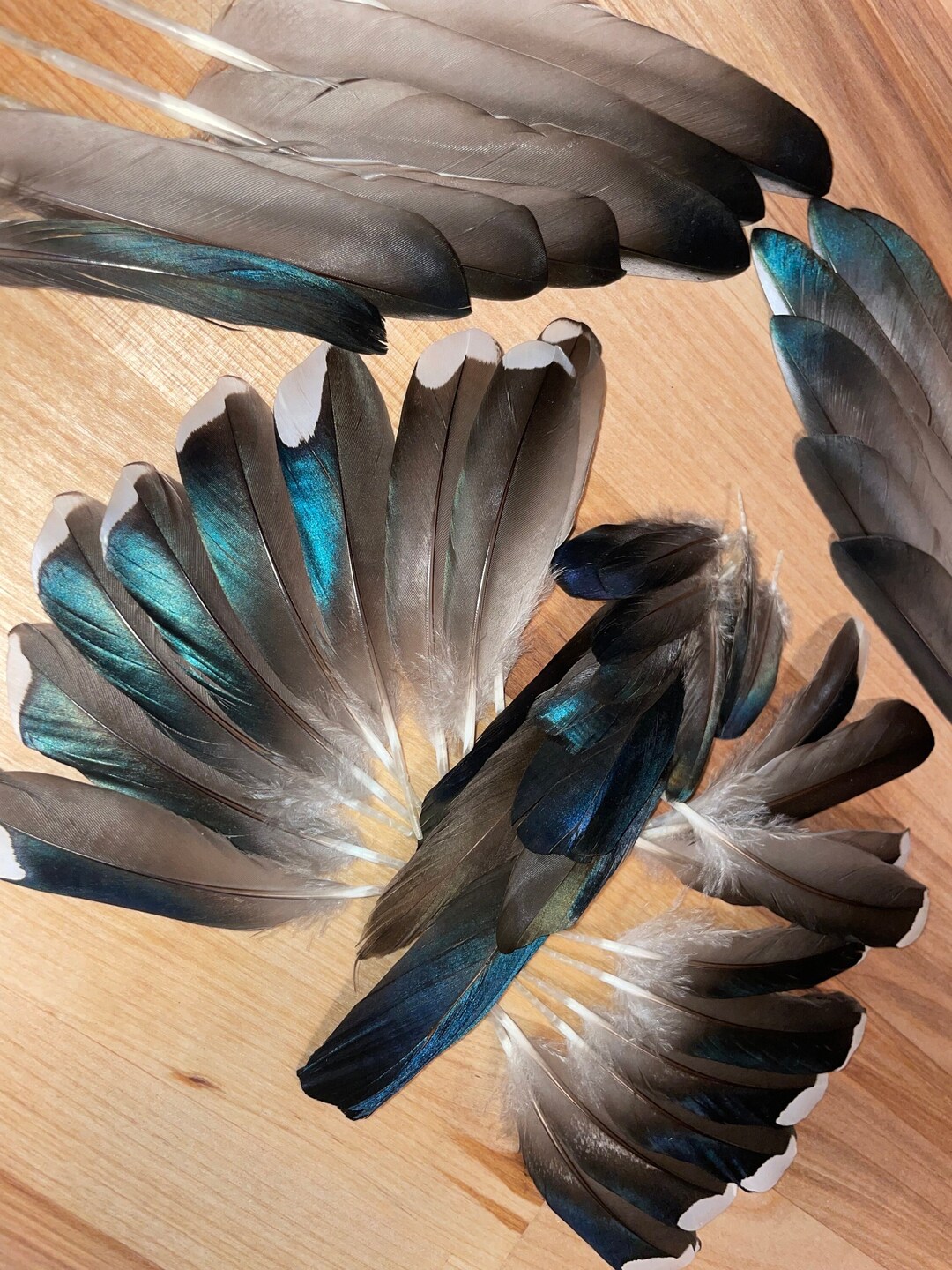 Wood Duck Feathers natural WI, USA - Etsy