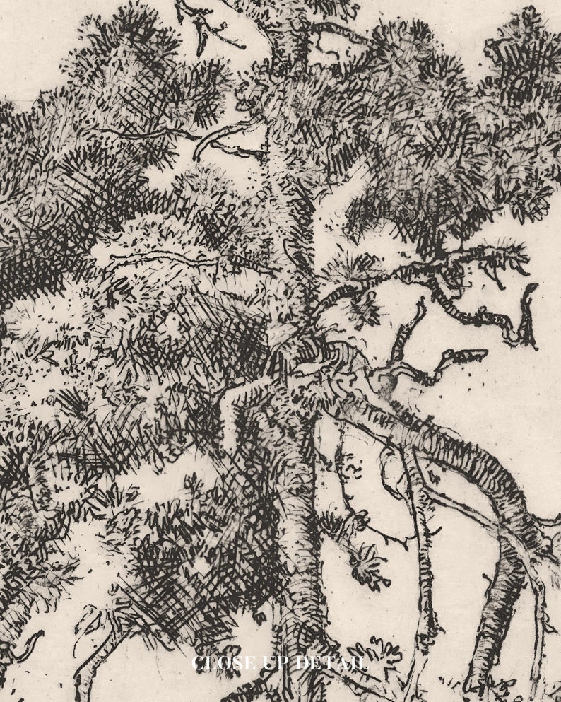 Vintage Tree Sketch Gallery Wall Set of 3 Prints, Triptych Wall Art ...