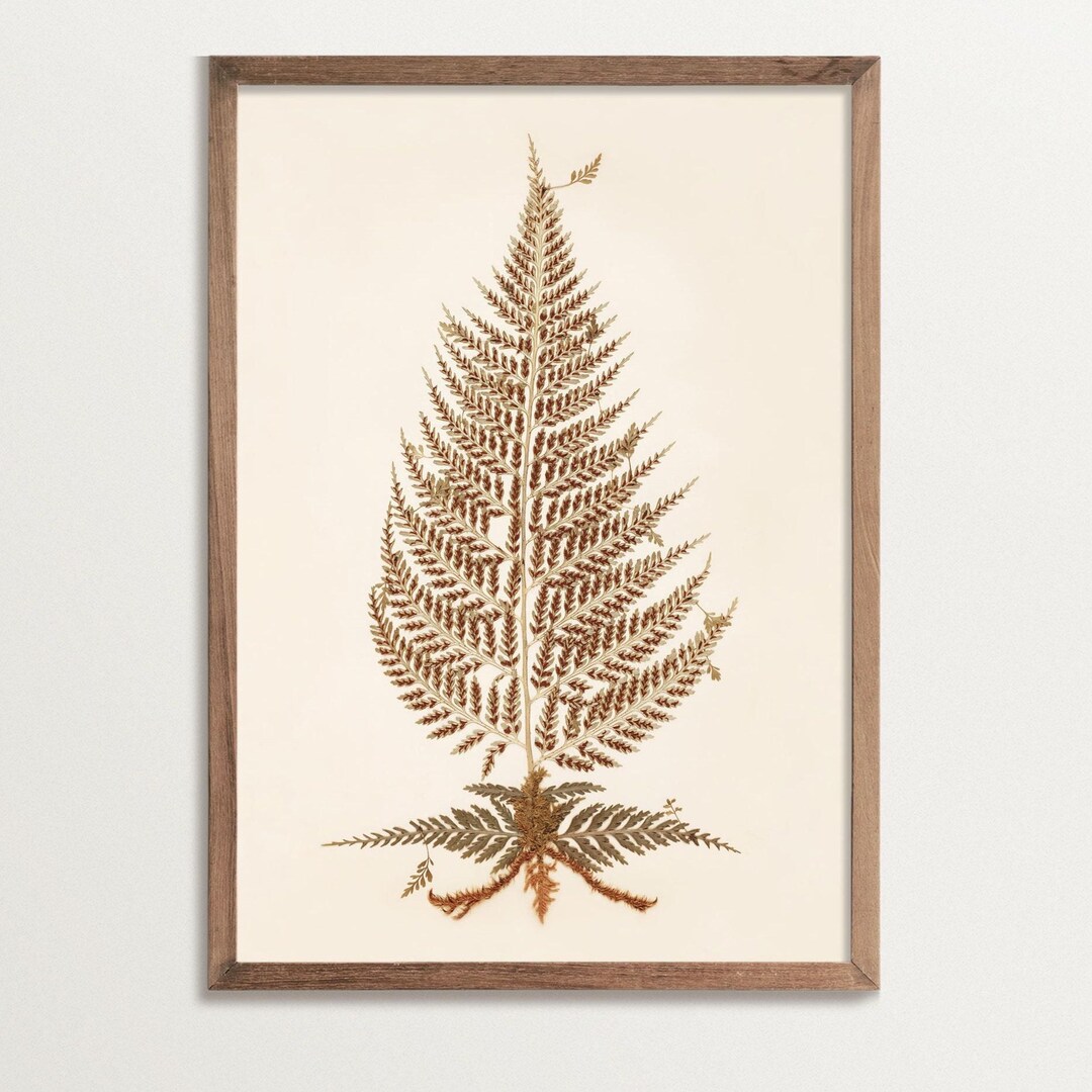 Stampa botanica antica di felce, arte murale vintage in stile ...